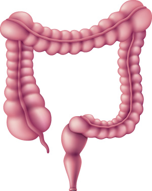 Colonic Hydrotherapy - Dandelion Nutrition and Health - Cheltenham